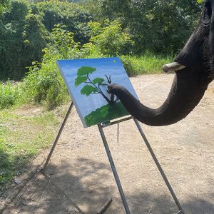 How Can Elephants Paint? | Elephant Art Online