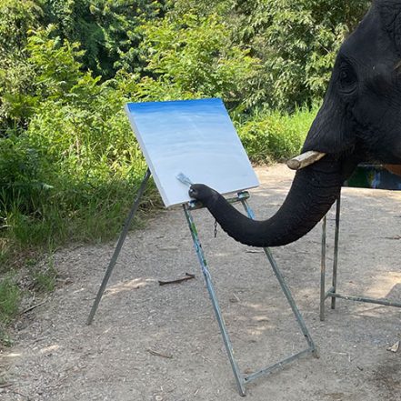 How Can Elephants Paint? | Elephant Art Online